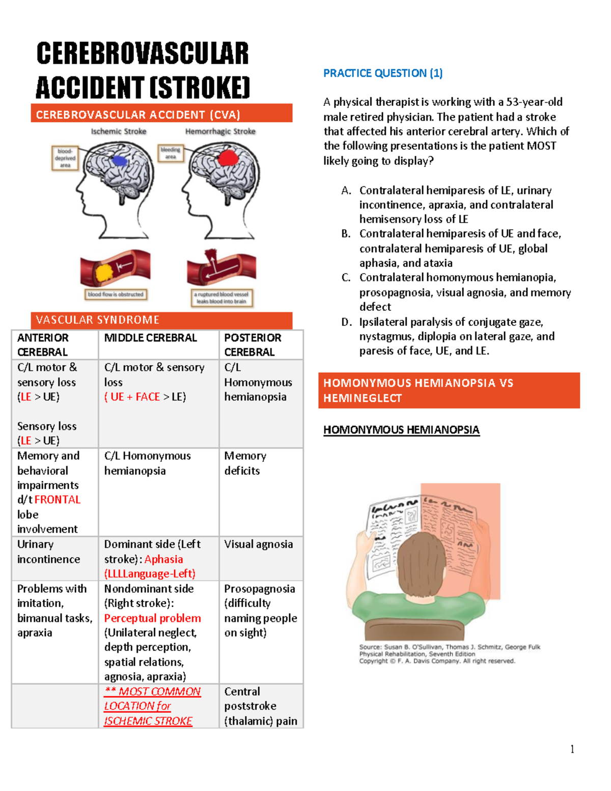 CVA - cva - CEREBROVASCULAR ACCIDENT (STROKE) CEREBROVASCULAR ACCIDENT ...