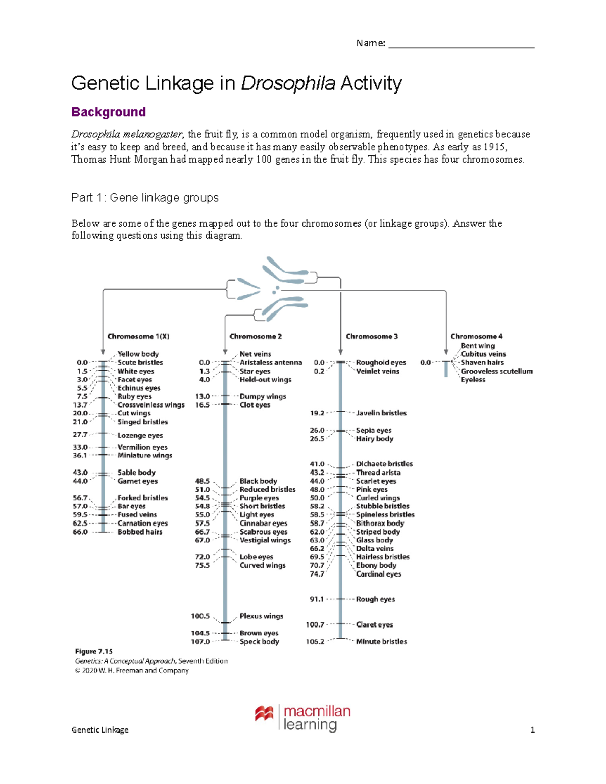 Gene linkage practice question - Name ...