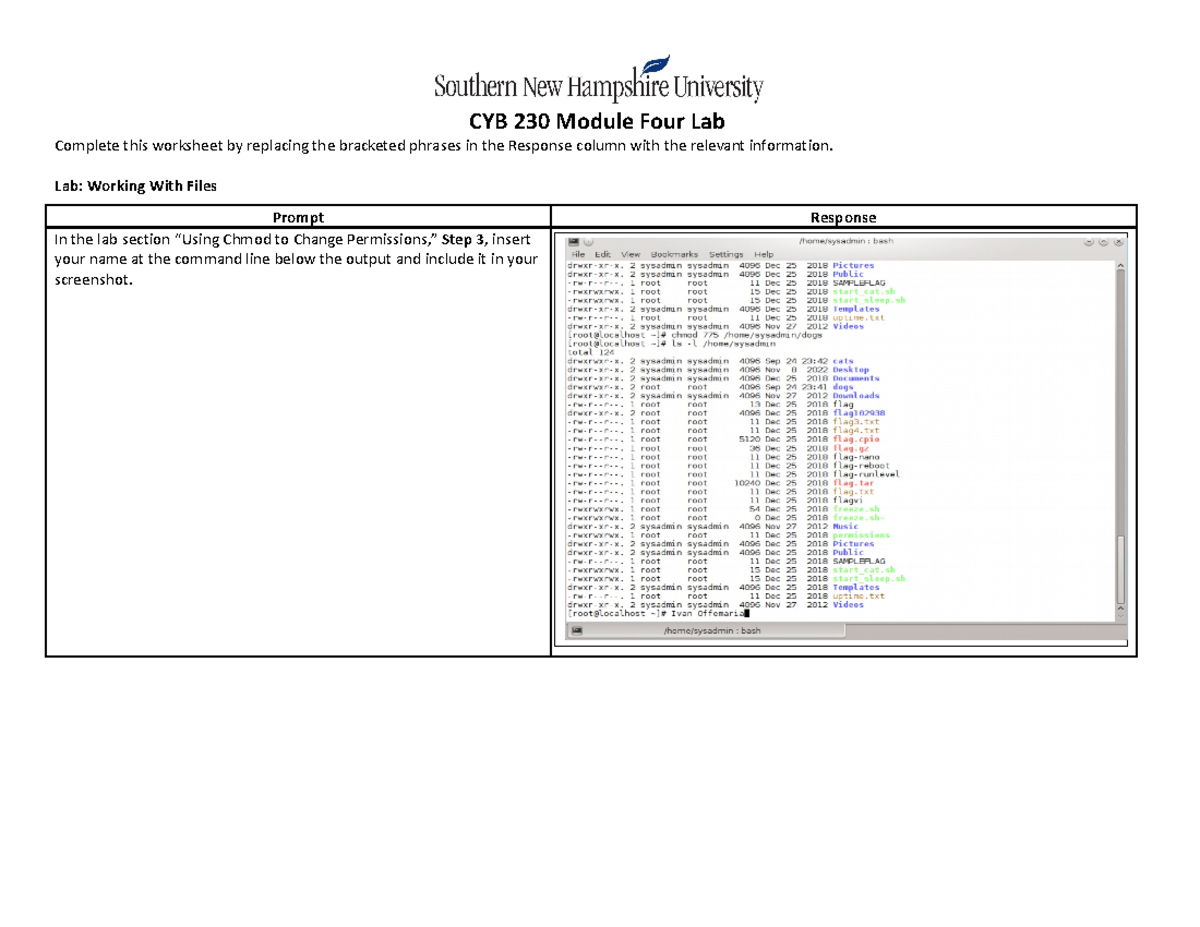 CYB 230 Module 4 Labs - CYB 230 Module Four Lab Complete this worksheet ...