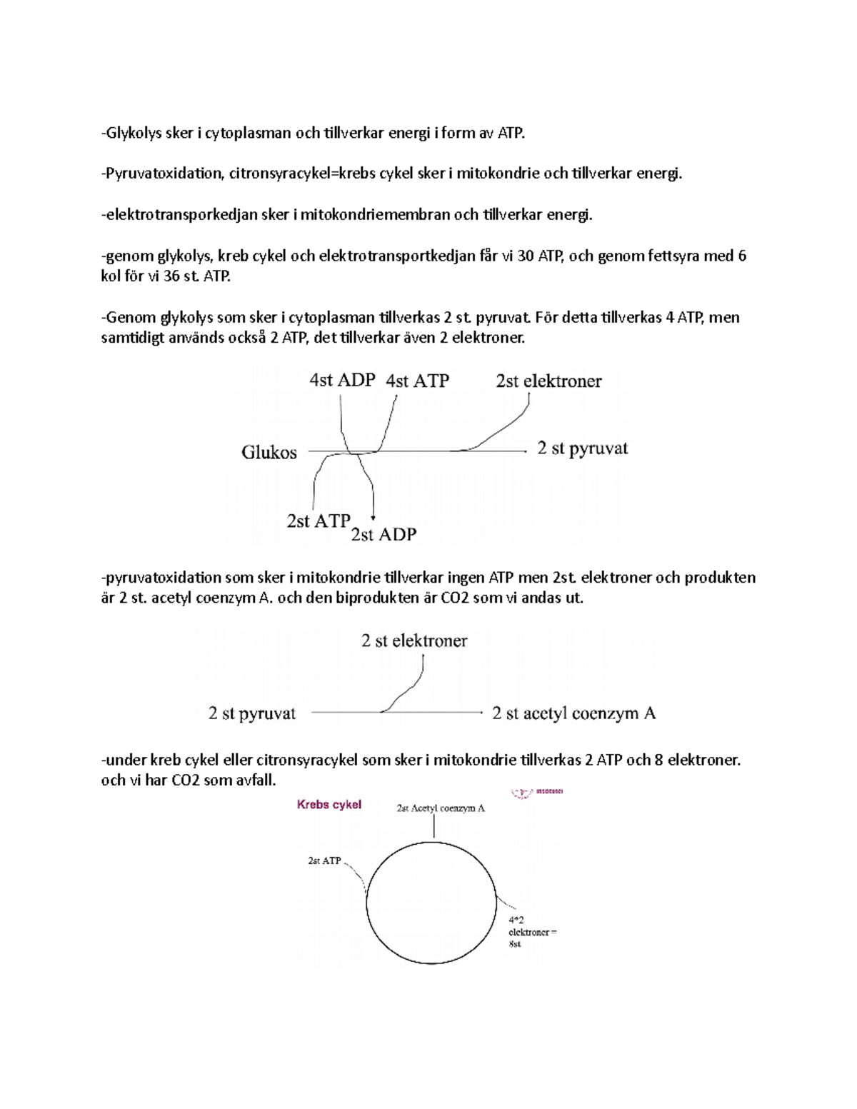 FATO-metabola processer -Glykolys sker i cytoplasman och tillverkar ...