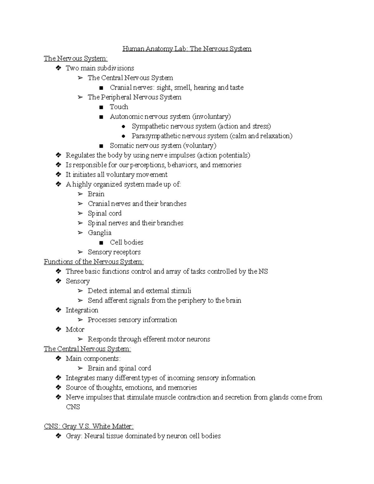 Week 9 Nervous System - Human Anatomy Lab: The Nervous System The ...