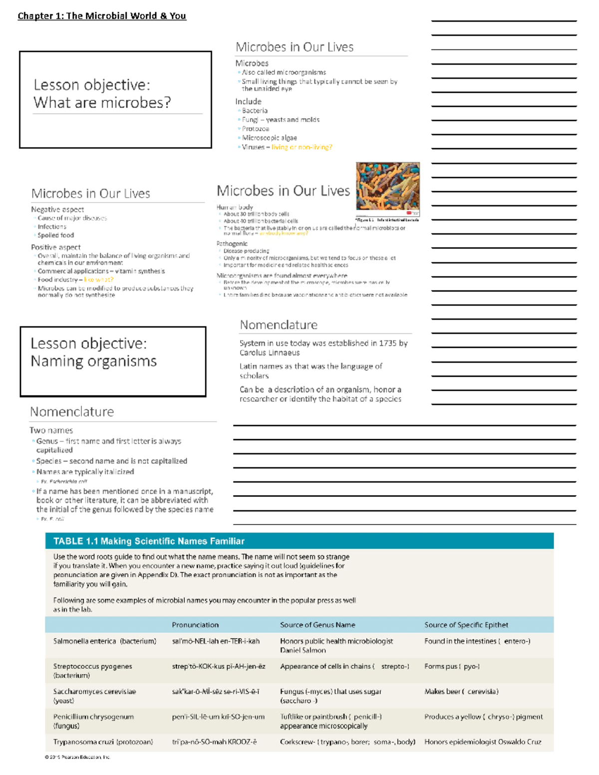 MCB 2010 Module 1 Review ...