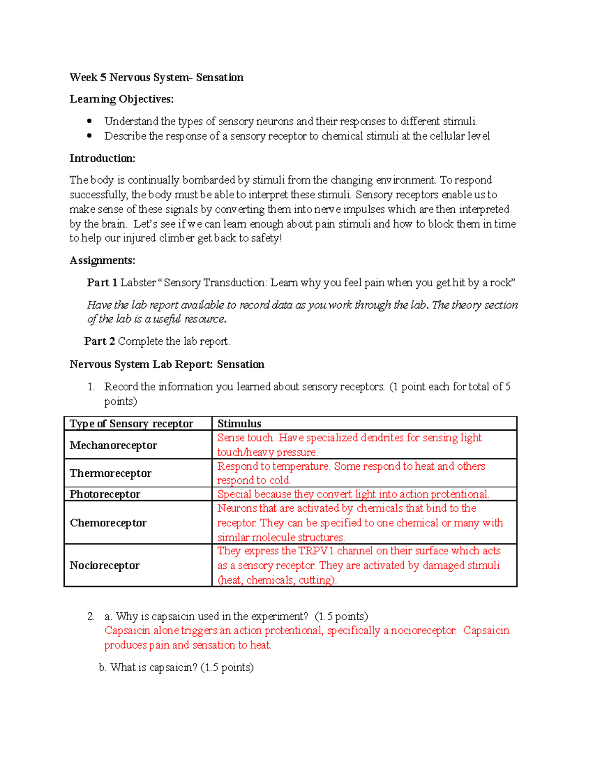 BIO252 Wk 5 Nervous System- Senses Lab - Week 5 Nervous System ...