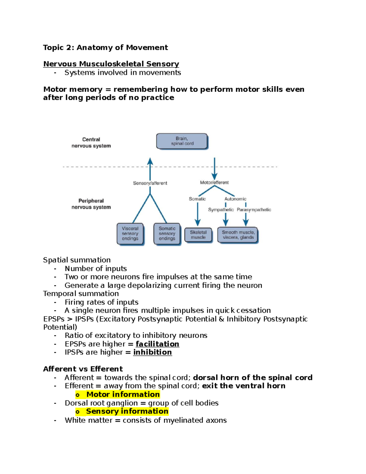 Topic 2 - Anatomy of Movement - Topic 2: Anatomy of Movement Nervous ...