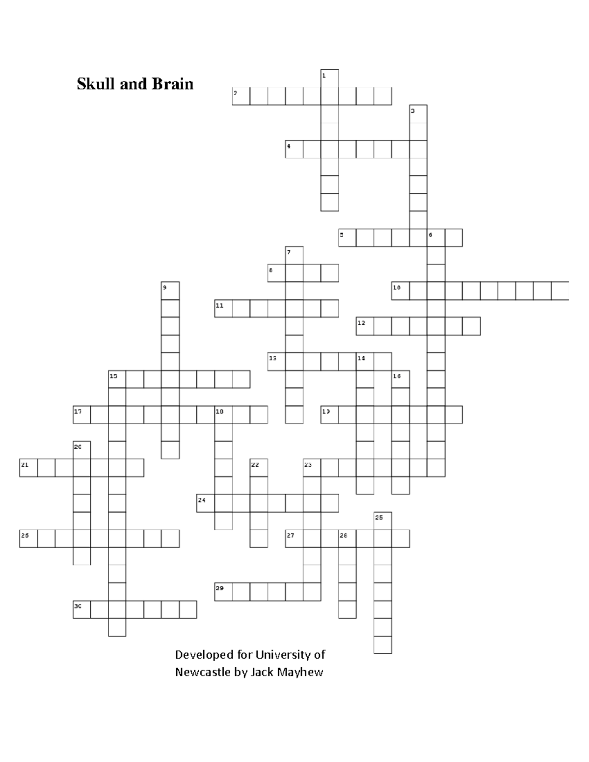 HUBS2103 Skull and Brain Crossword questions - Skull and Brain ...