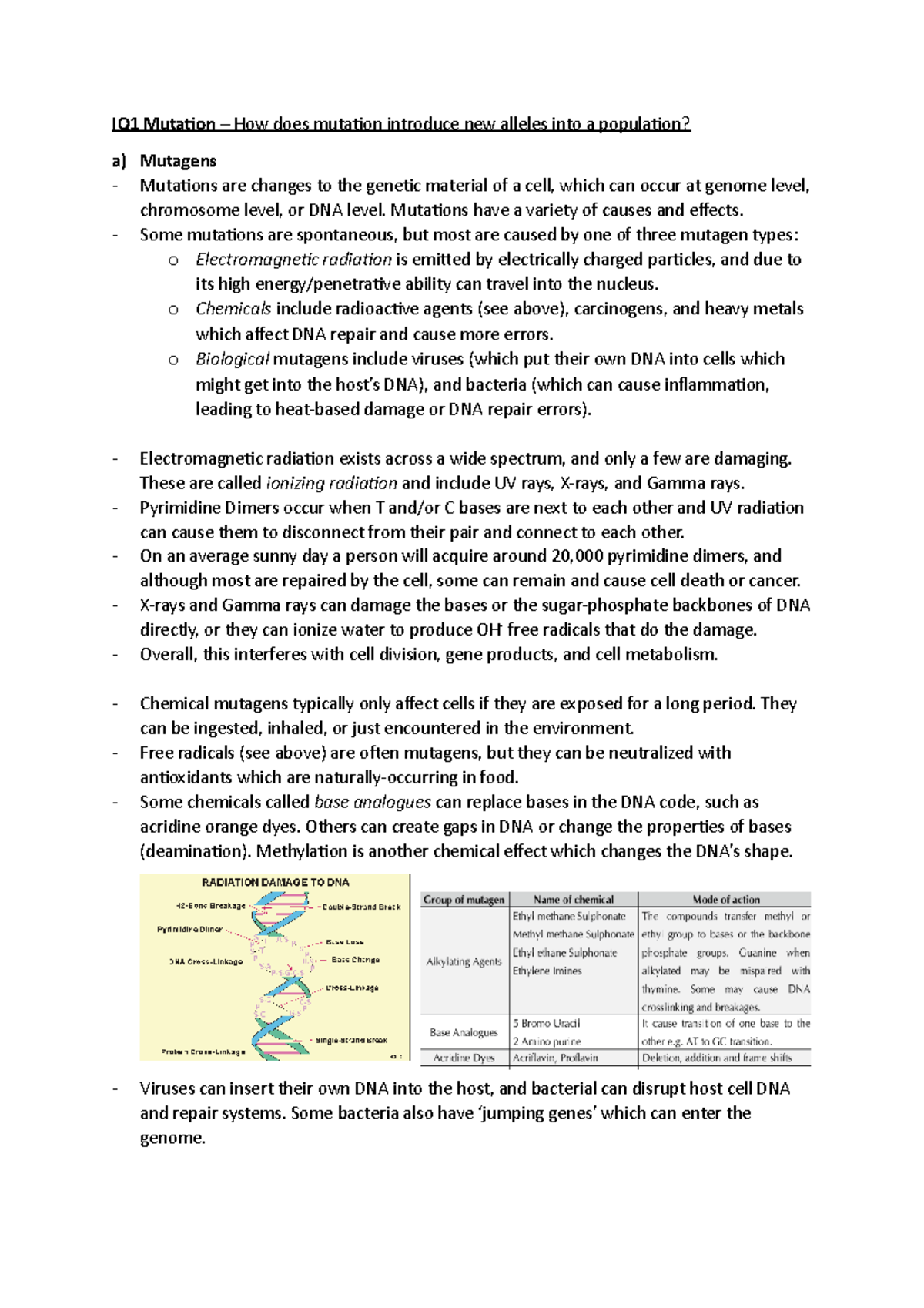 Module 6 - genetic change - IQ1 Mutation – How does mutation introduce ...