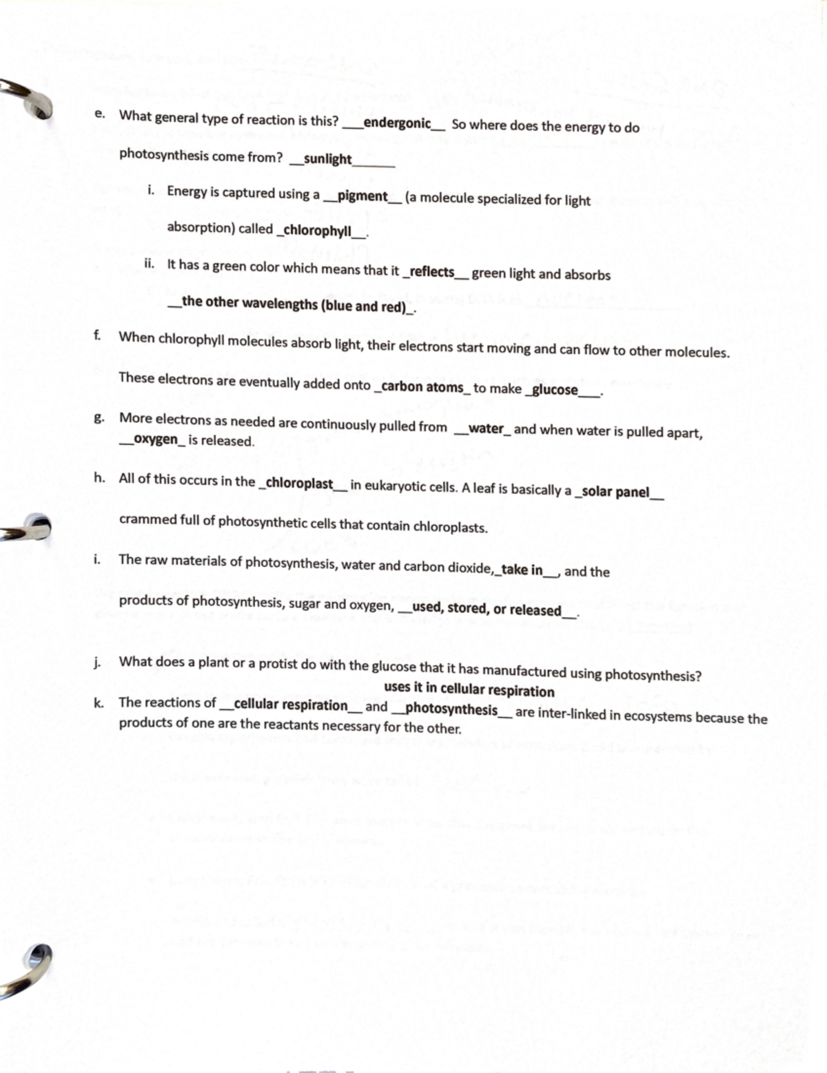 Bio DNA - Mark Nolan - BI101 - Studocu