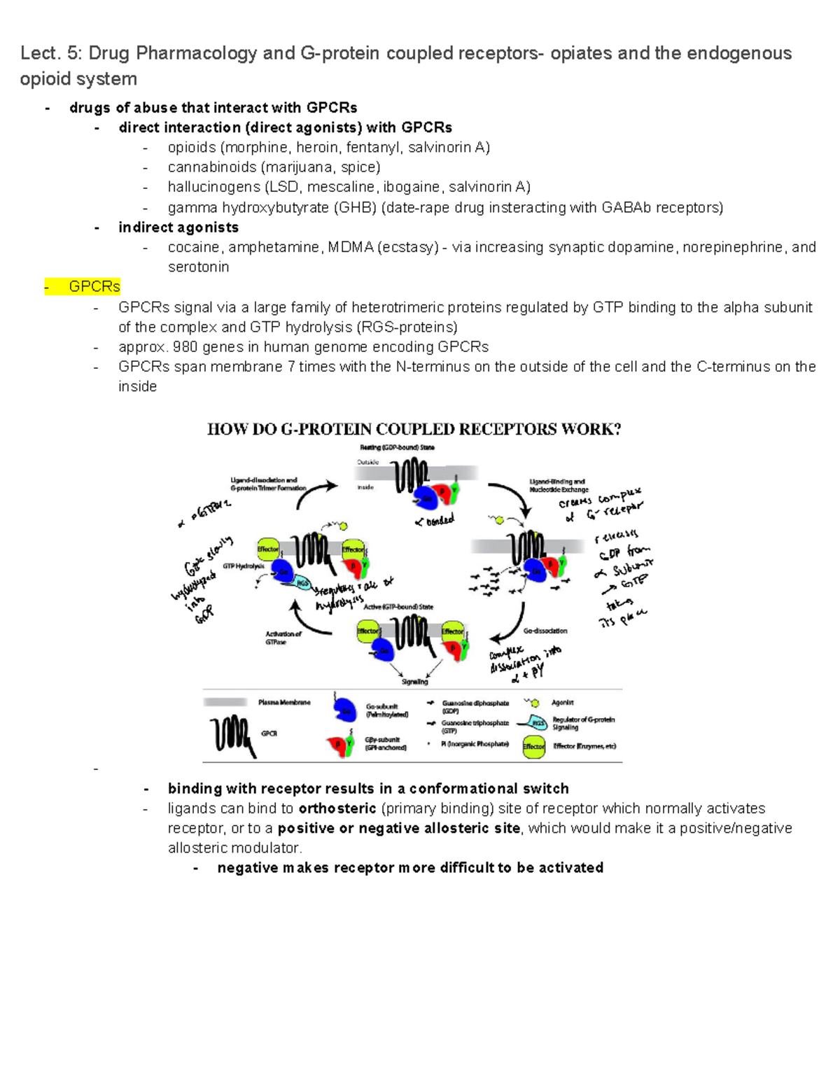 Neurosc C177 Lecture 5 Notes - Lect. 5: Drug Pharmacology and G-protein ...