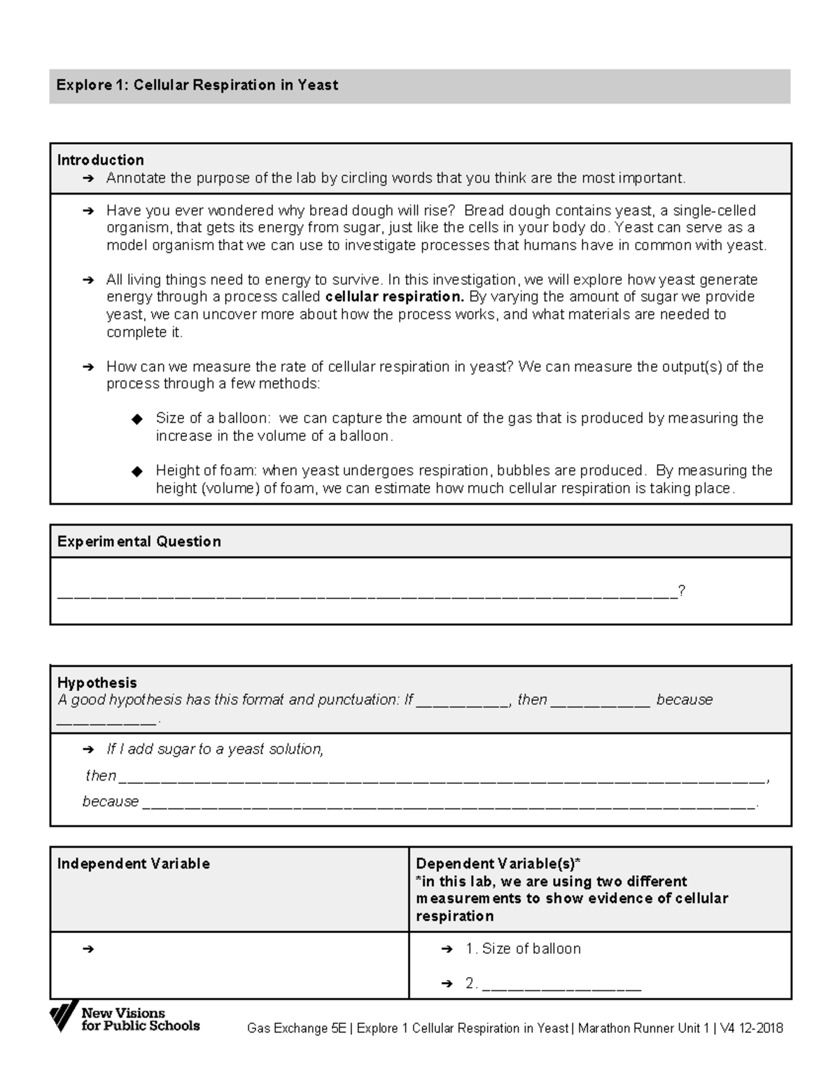 1 Explore 1 Cellular Respiration in Yeast Gas Exchange 5E Student ...