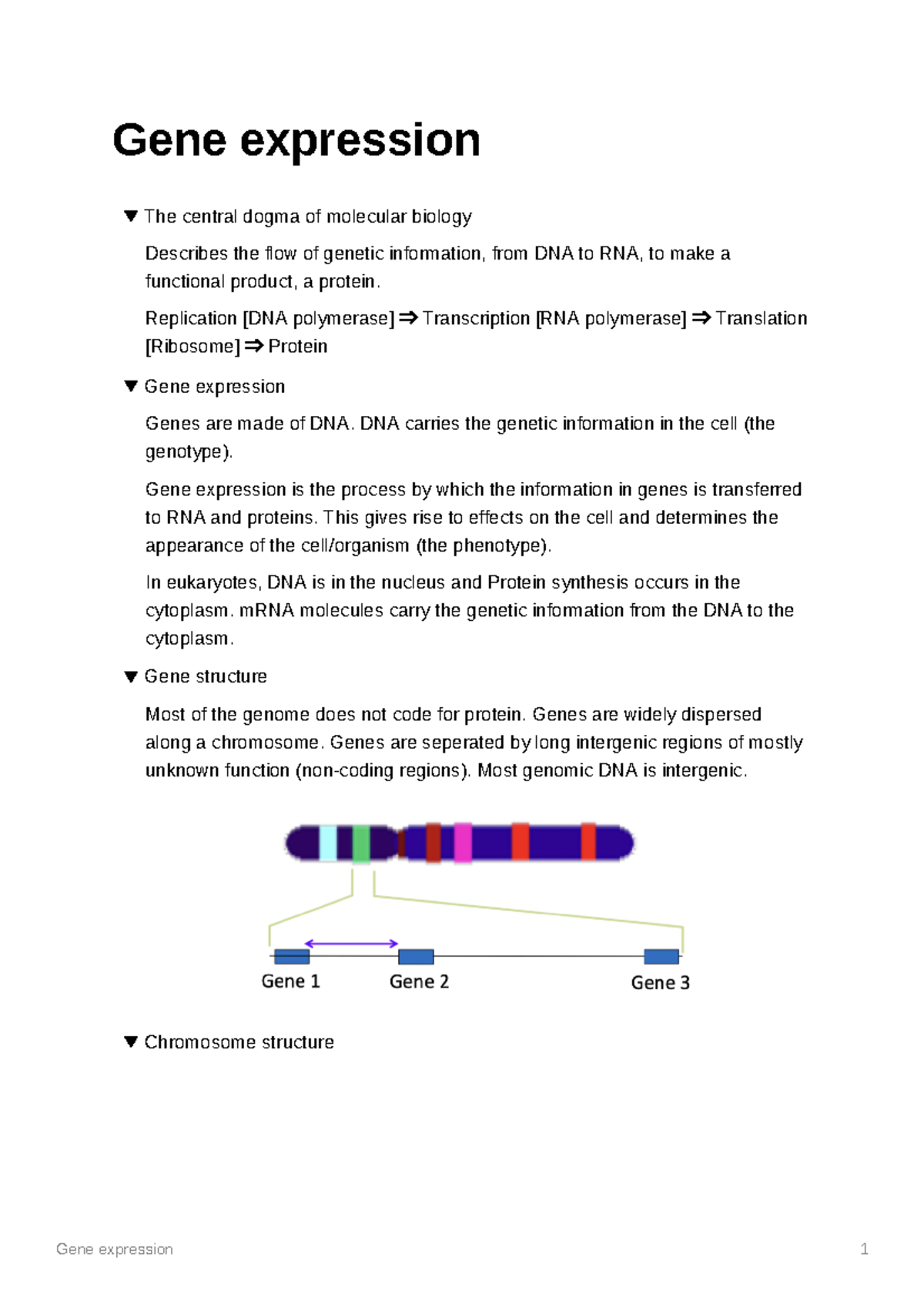 Gene expression notes - Gene expression The central dogma of molecular ...
