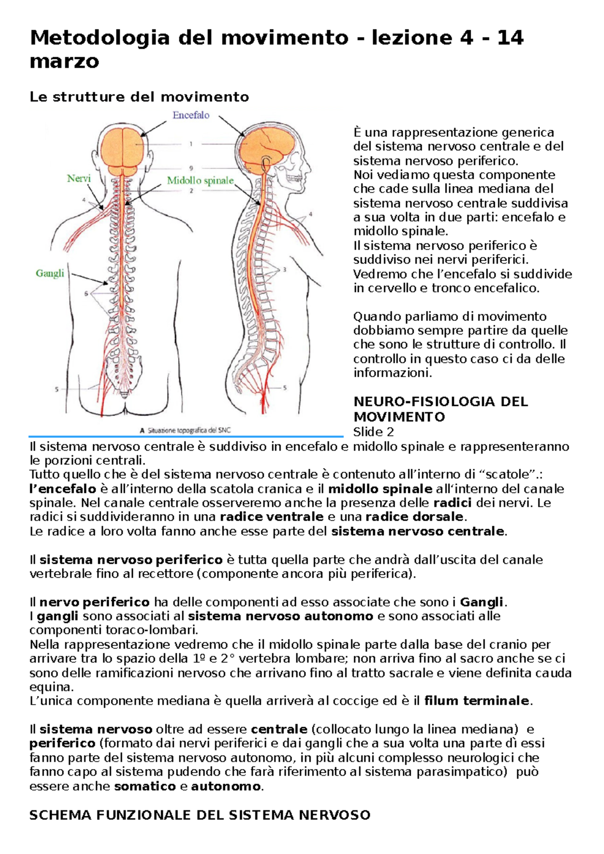 Lezione 4 - Metodologia del movimento - Metodologia del movimento ...