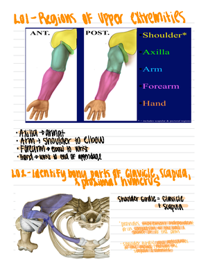 Bone Histiology - notes and images along with acronyms on relevant and ...