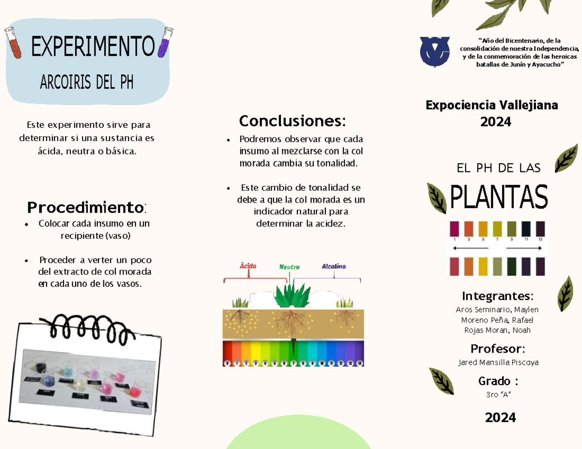 Tríptico PH - Resumen Ciencias Sociales y Filosofía - “Año del Bicentenario, de la consolidación ...