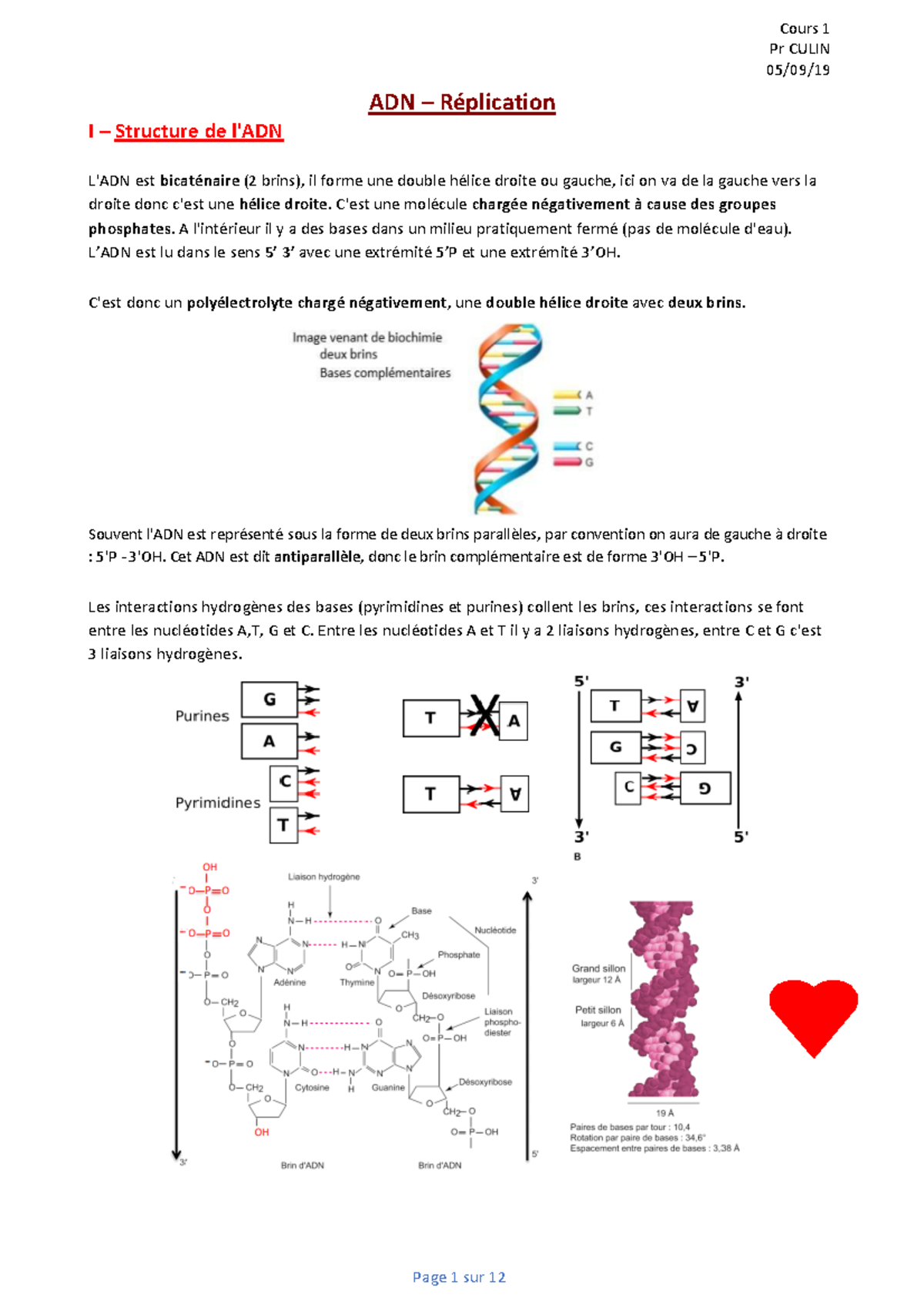 1. Cullin ADN - Réplication - Warning: TT: undefined function: 32 Warning: TT: undefined ...