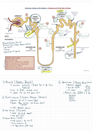 Pharma-Ppt - PADAYON - ####### AUTONOMIC ####### NERVOUS SYSTEM ...
