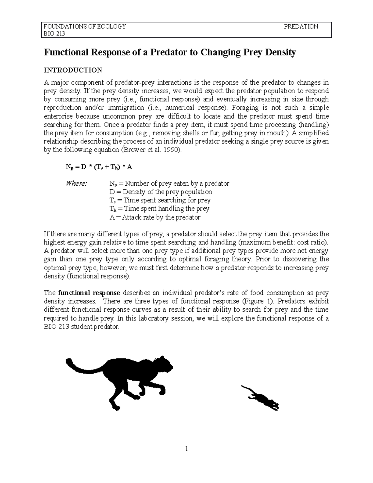 BIO 213 LAB-Functional Response - BIO 213 Functional Response of a ...