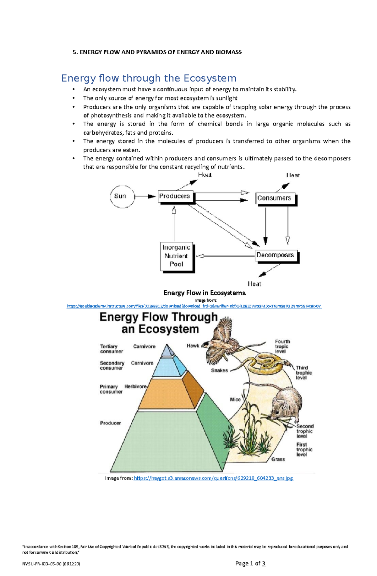 Environmental Science. Module 2 - 5. ENERGY FLOW AND PYRAMIDS OF ENERGY ...
