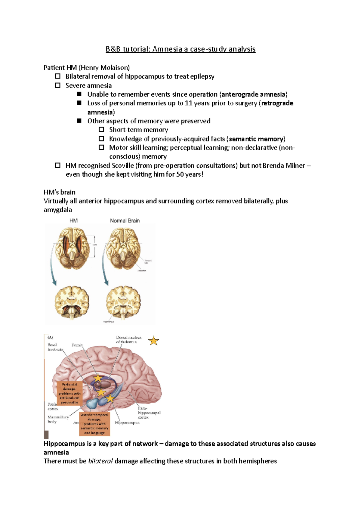 B&B tutorial amnesia - B&B tutorial: Amnesia a case-study analysis ...