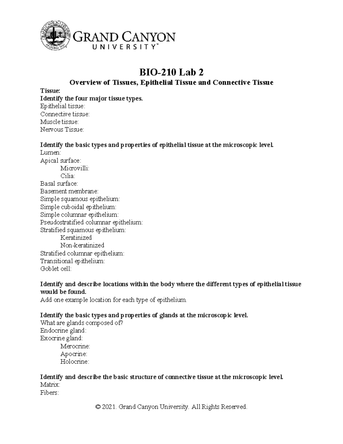 ( BIO 210 ) Terms List #2 - BIO-210 Lab 2 Overview of Tissues ...