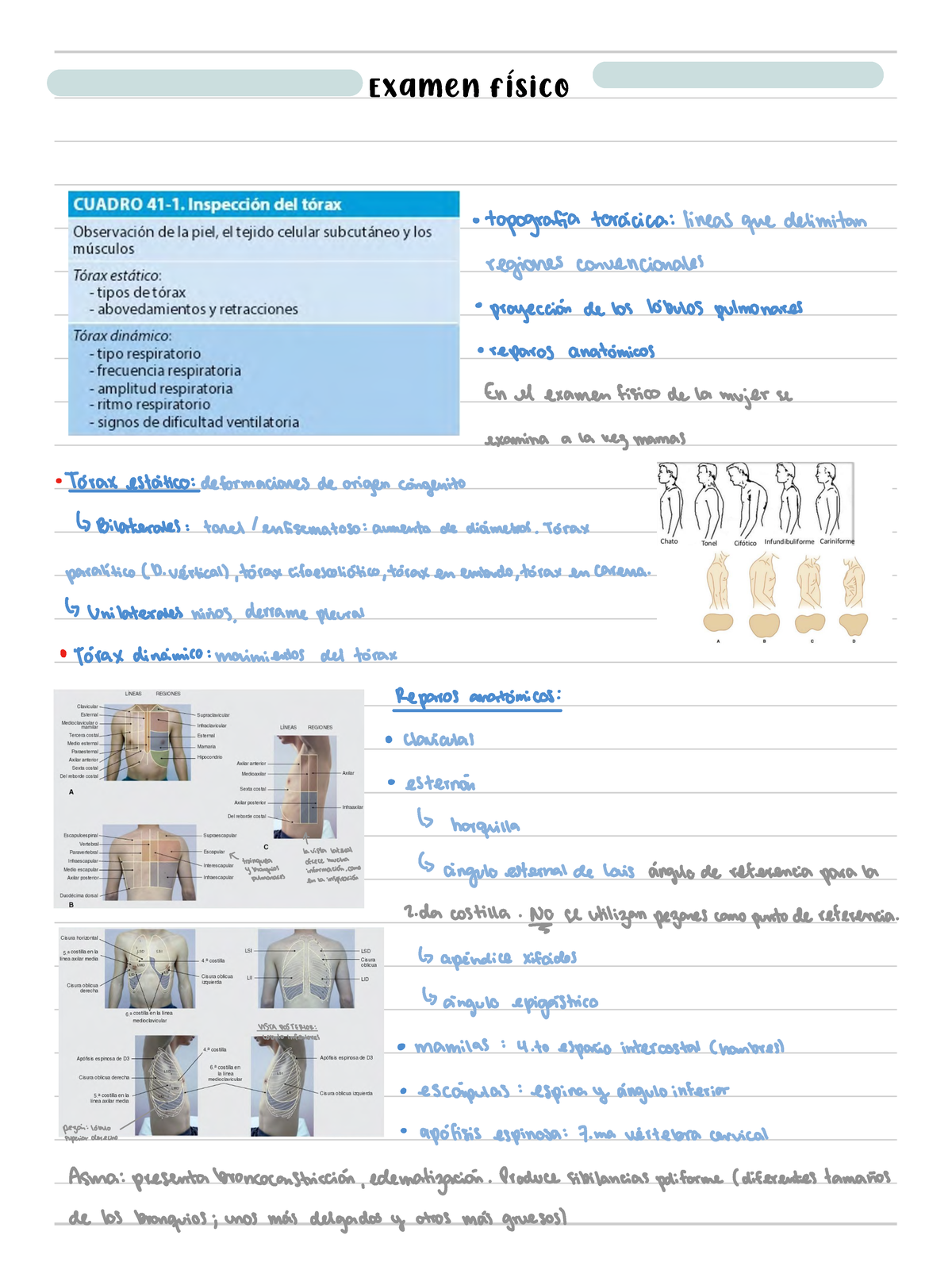 Examen físico del tórax, semiología - Examen físico CUADRO Inspección ...