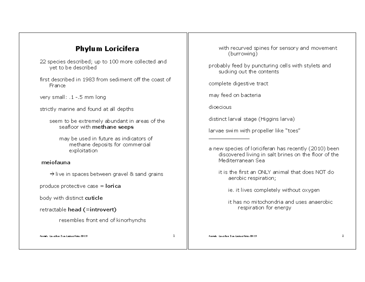 Phylum Loricifera - Outline summary - Animals: Loricifera; Ziser ...
