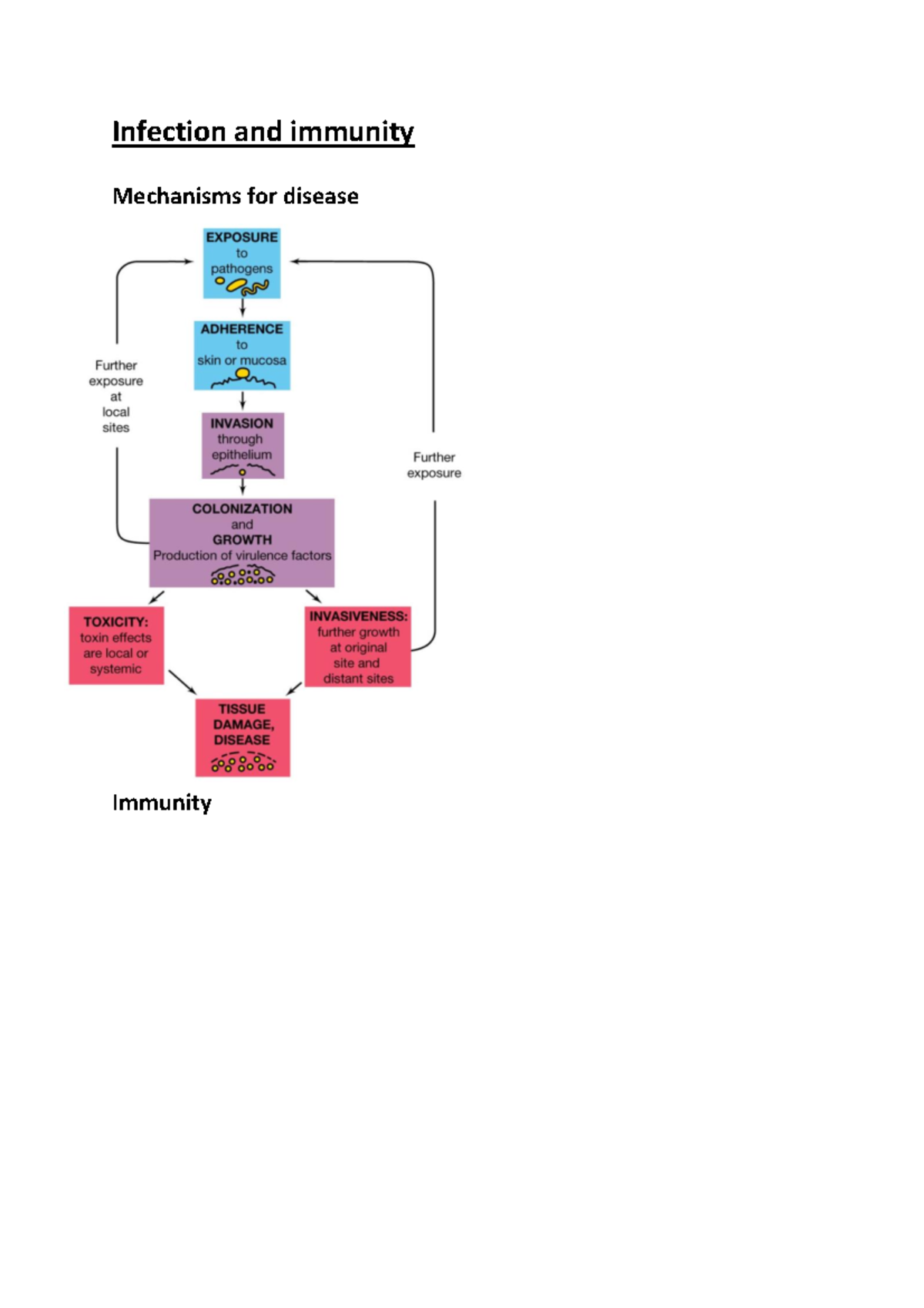 Infection and immunity Organs - Warning: TT: undefined function: 32 Warning: TT: undefined ...
