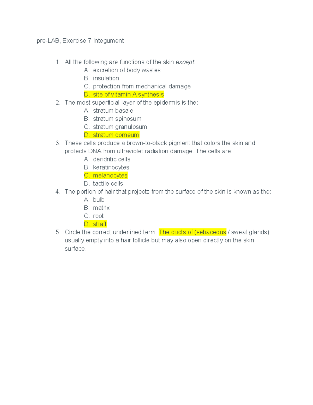 Pre-LAB, Exercise 7 Integument - ANAT 32 - ECC - Studocu