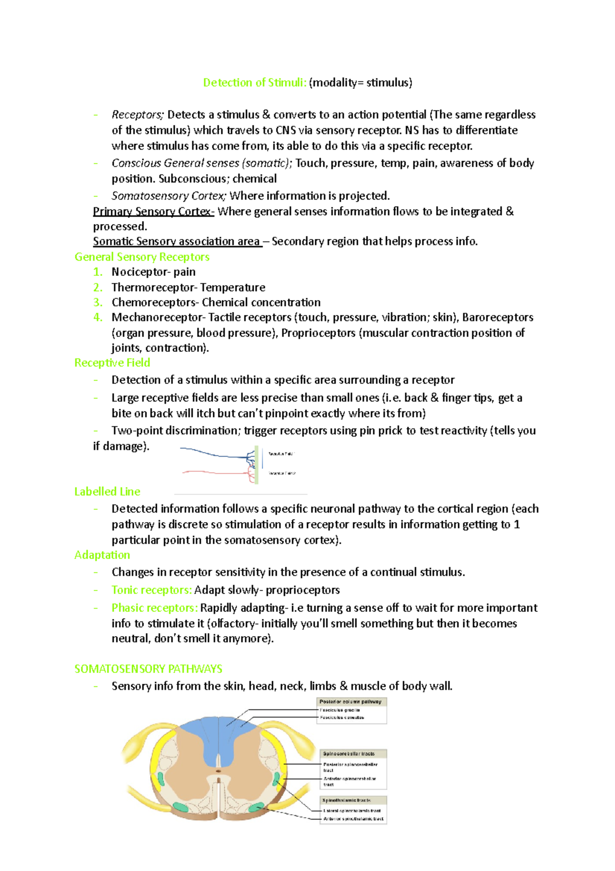 Detection of Stimuli - Lecture notes 1-2 - Detection of Stimuli ...