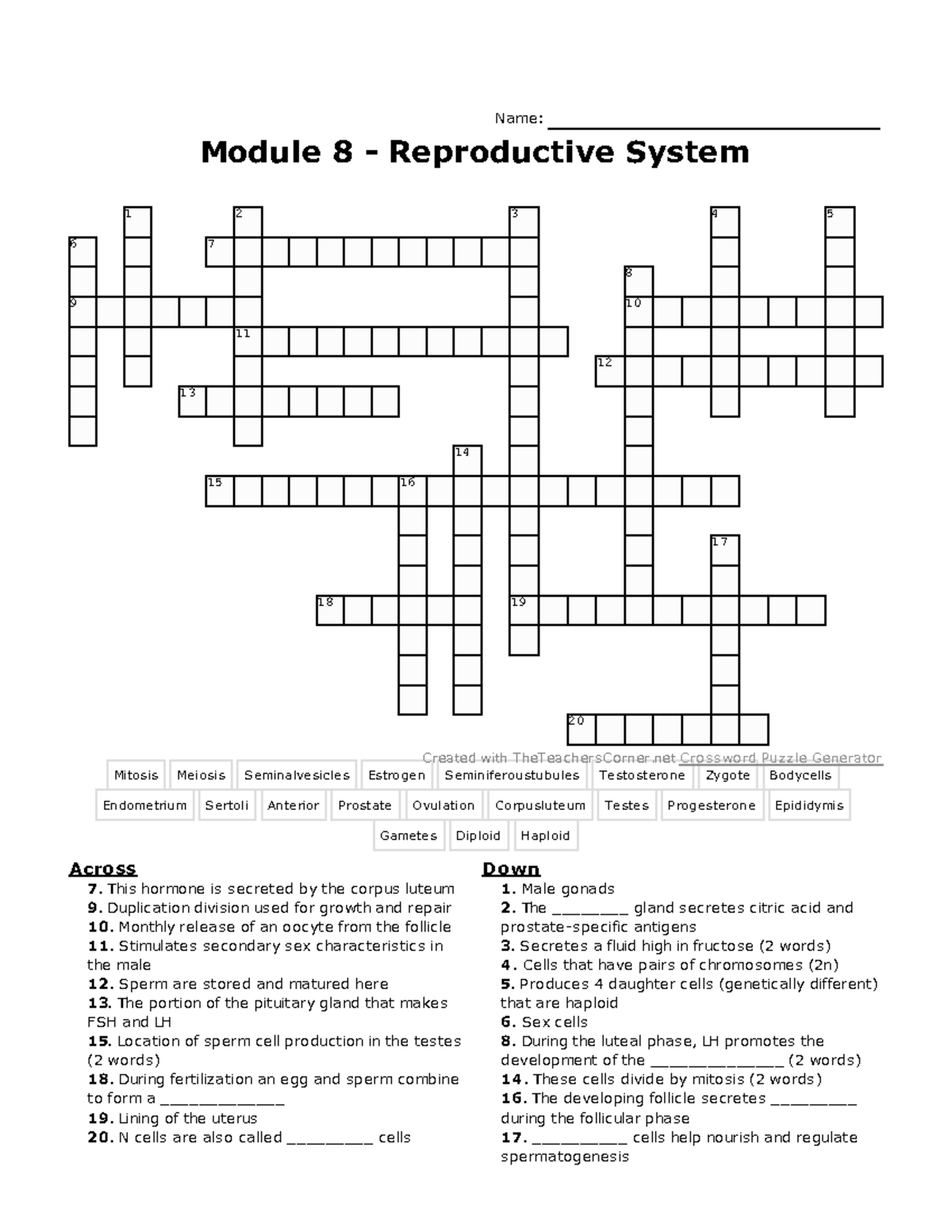 Module 8 - Reproductive System crossword - Name: Module 8 ...