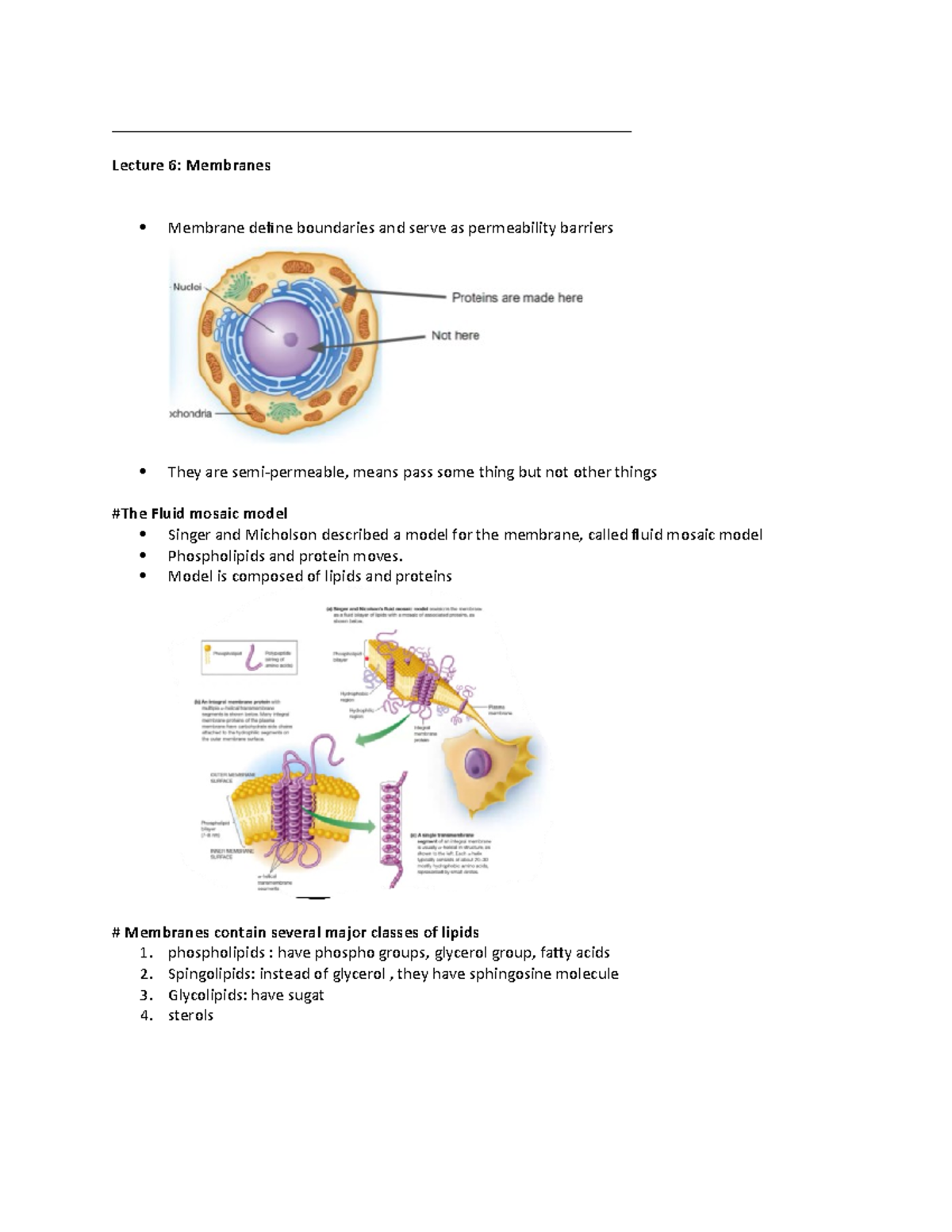 cell bio 2020 Lecture 6 ...