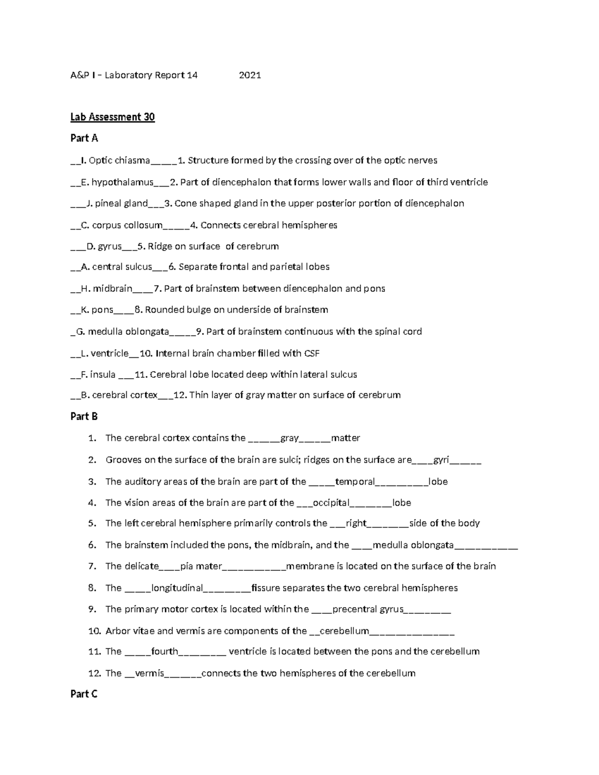 A&PI Lab Report 14 2021 - Roberto Rodriguez, DHSc, MS, MD Lab: Nervous ...