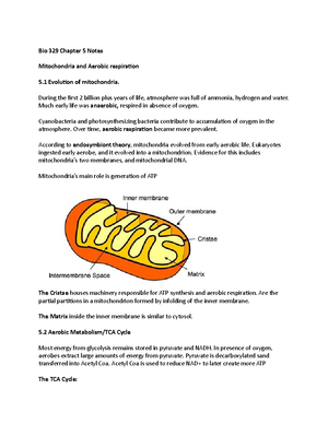 Review Sheet Unit 18 - BIO 329 Dr. Menze Unit 18 Cell Signaling Basic ...