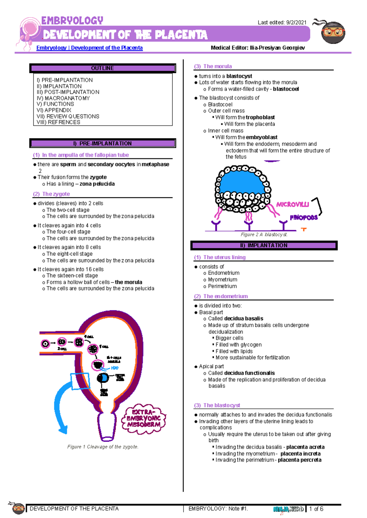 265 - Embryology Physiology] Development of the Placenta - DEVELOPMENT ...
