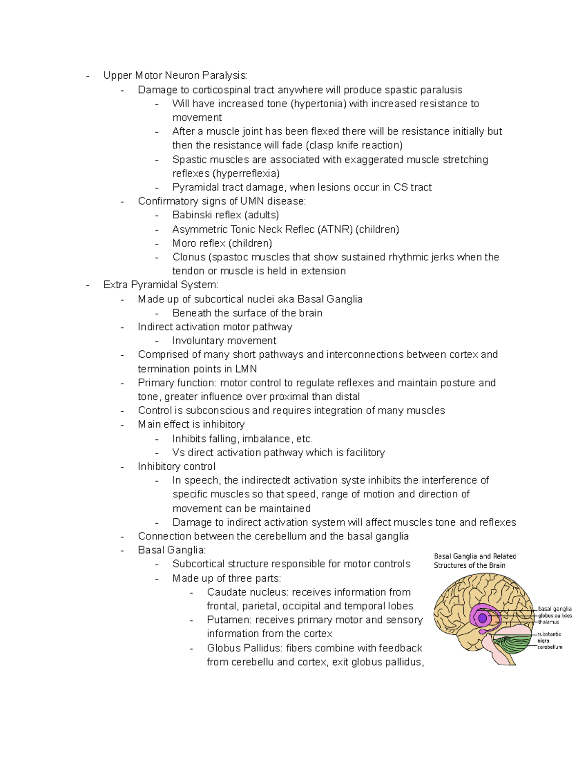 Upper Motor Neuron Paralysis - Upper Motor Neuron Paralysis: Damage to ...