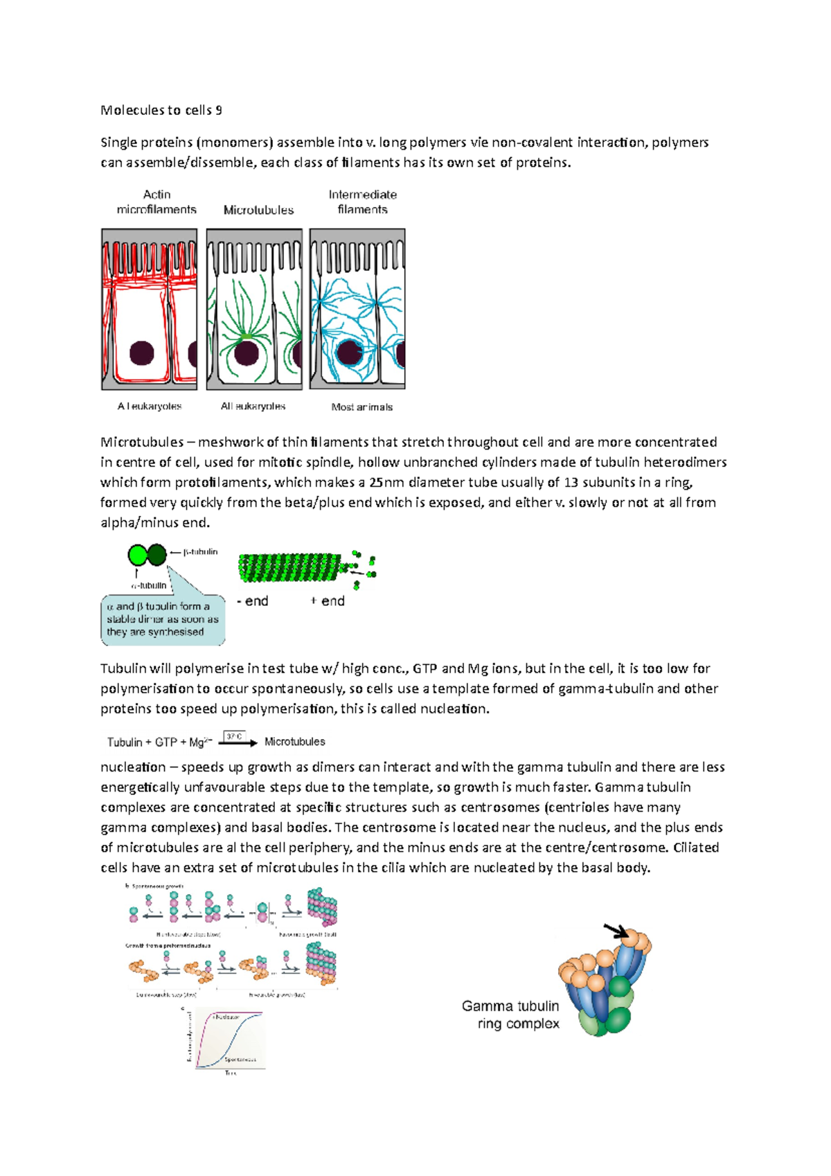 Molecules to cells 9 - Lecture notes 9 - Molecules to cells 9 Single ...