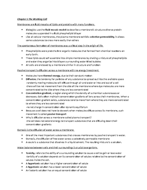 eScience Lab 6: Diffusion - Pre-Lab Questions A concentration gradient ...