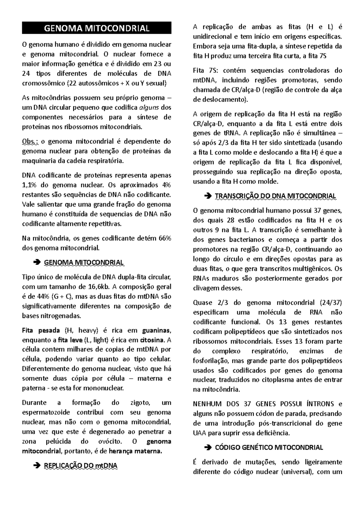 Genoma Mitocondrial - Genética - GENOMA MITOCONDRIAL O genoma humano é ...