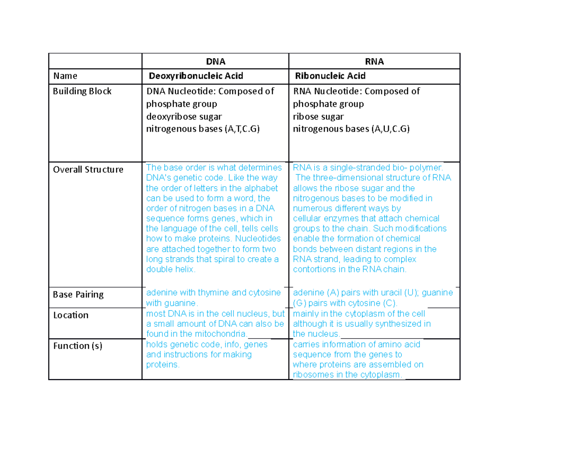 DNA RNA Chart - notes - DNA RNA Name Deoxyribonucleic Acid Ribonucleic ...