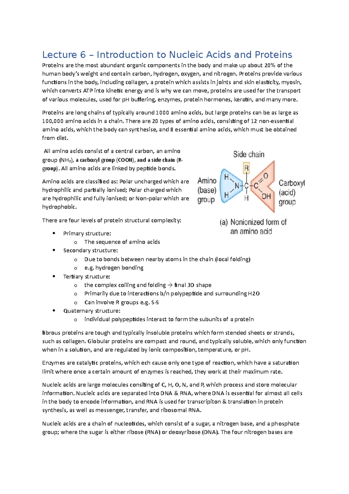 Lecture 6 - Lecture 6 – Introduction to Nucleic Acids and Proteins ...