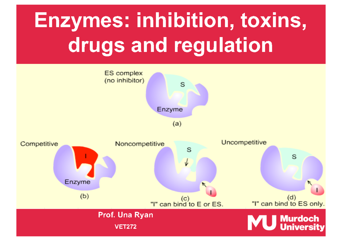 3. Enzymes-inhibitors, toxins drugs - Enzymes: inhibition, toxins ...