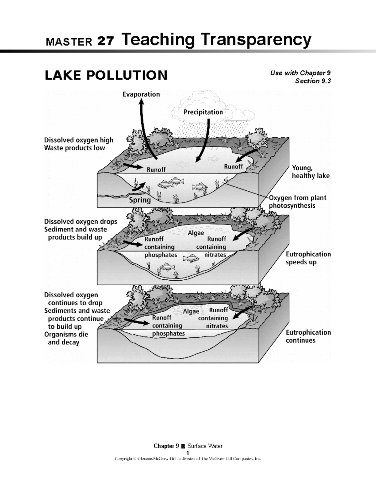 Lake Pollution Worksheet 9 - MASTER 27 Teaching Transparency LAKE ...