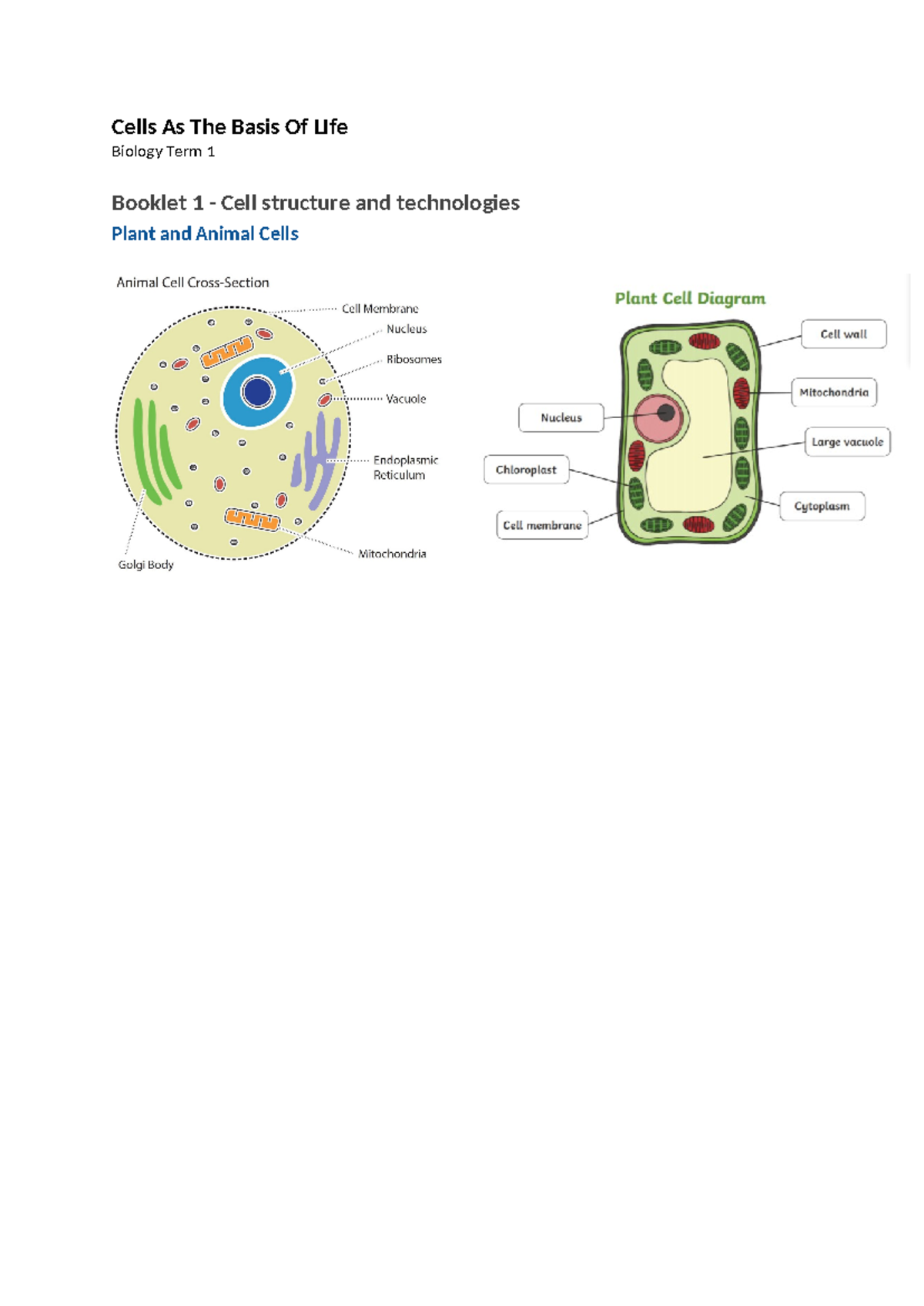 bio - plant cell - Cells As The Basis Of LIfe Biology Term 1 Booklet 1 ...