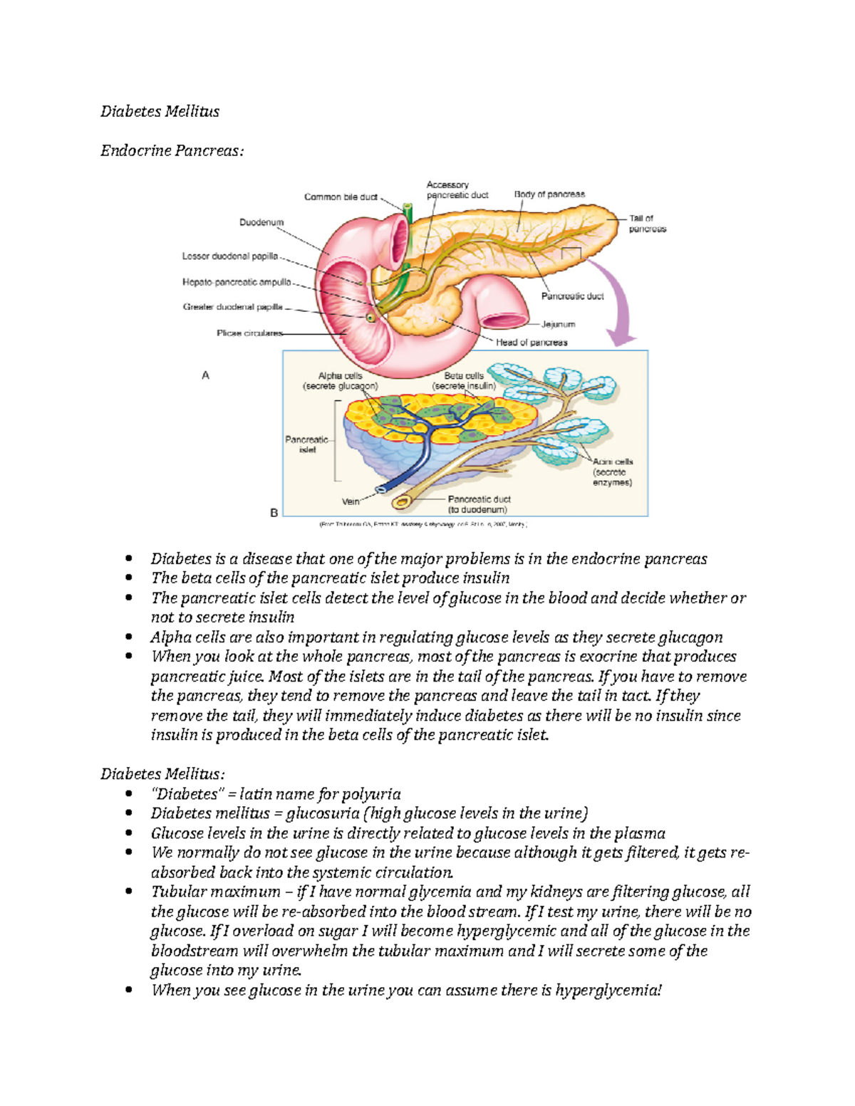 Lecture 18 - patho - Diabetes Mellitus Endocrine Pancreas: Diabetes is ...