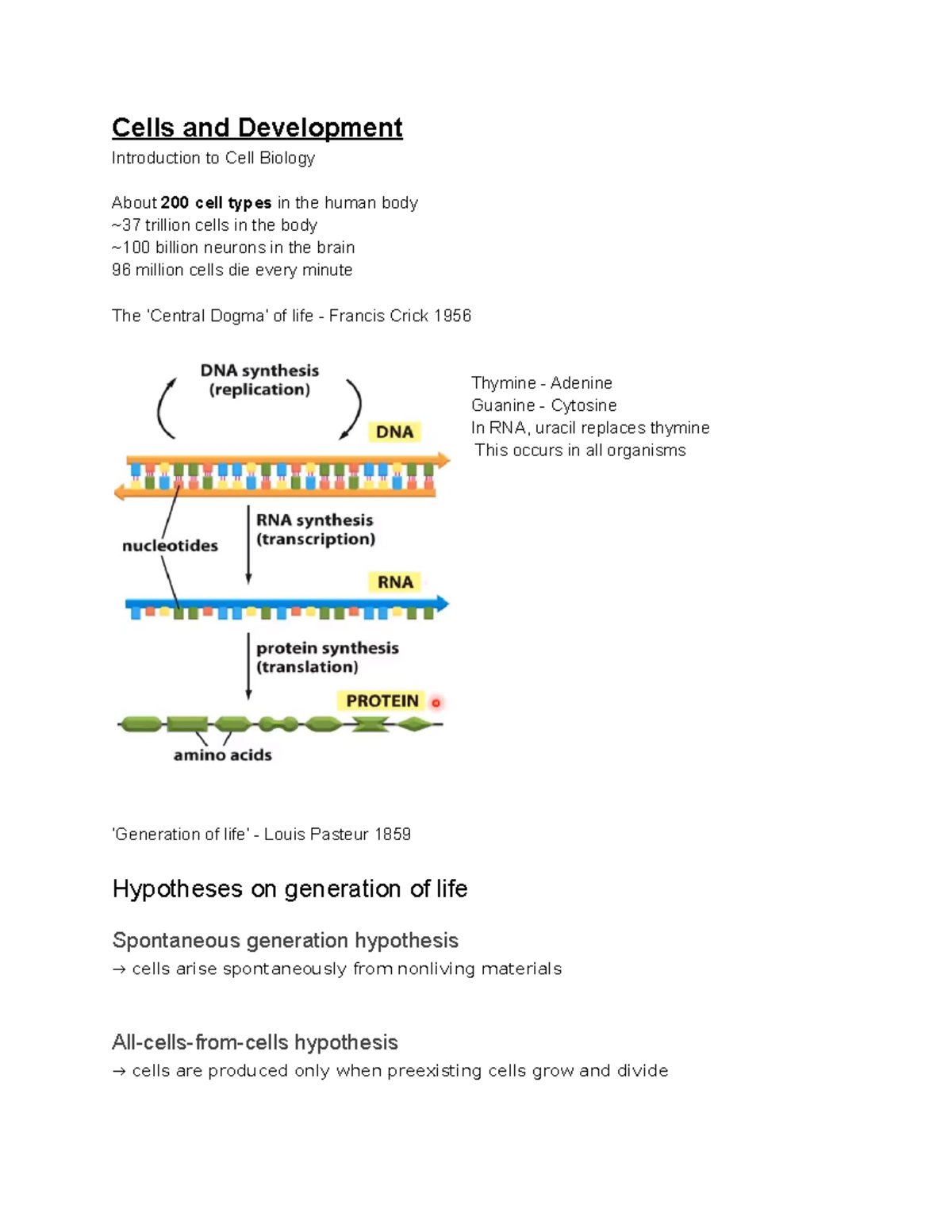 Cells and Development - Cells and Development Introduction to Cell ...