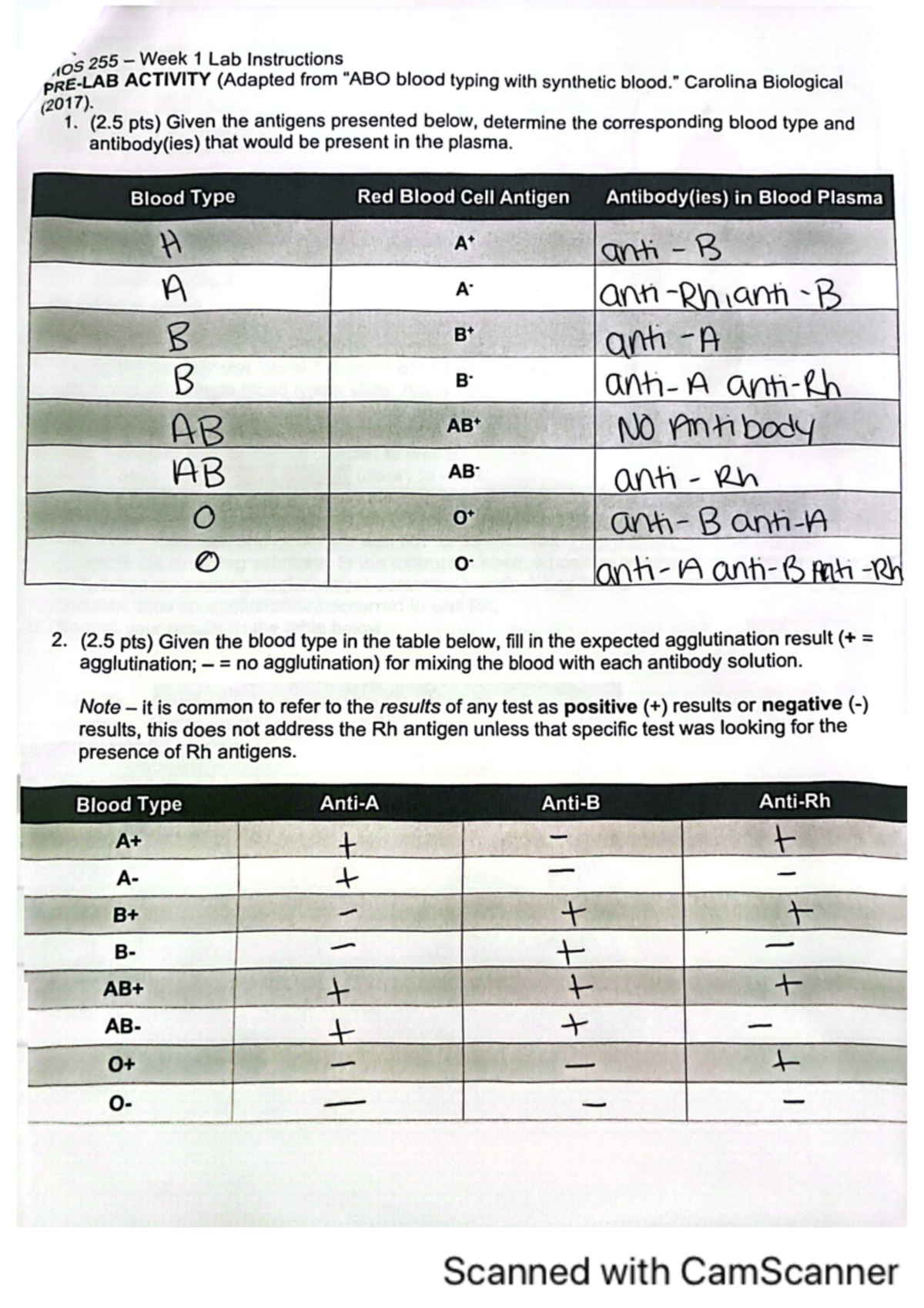 Lab worksheet week 1 - Studocu