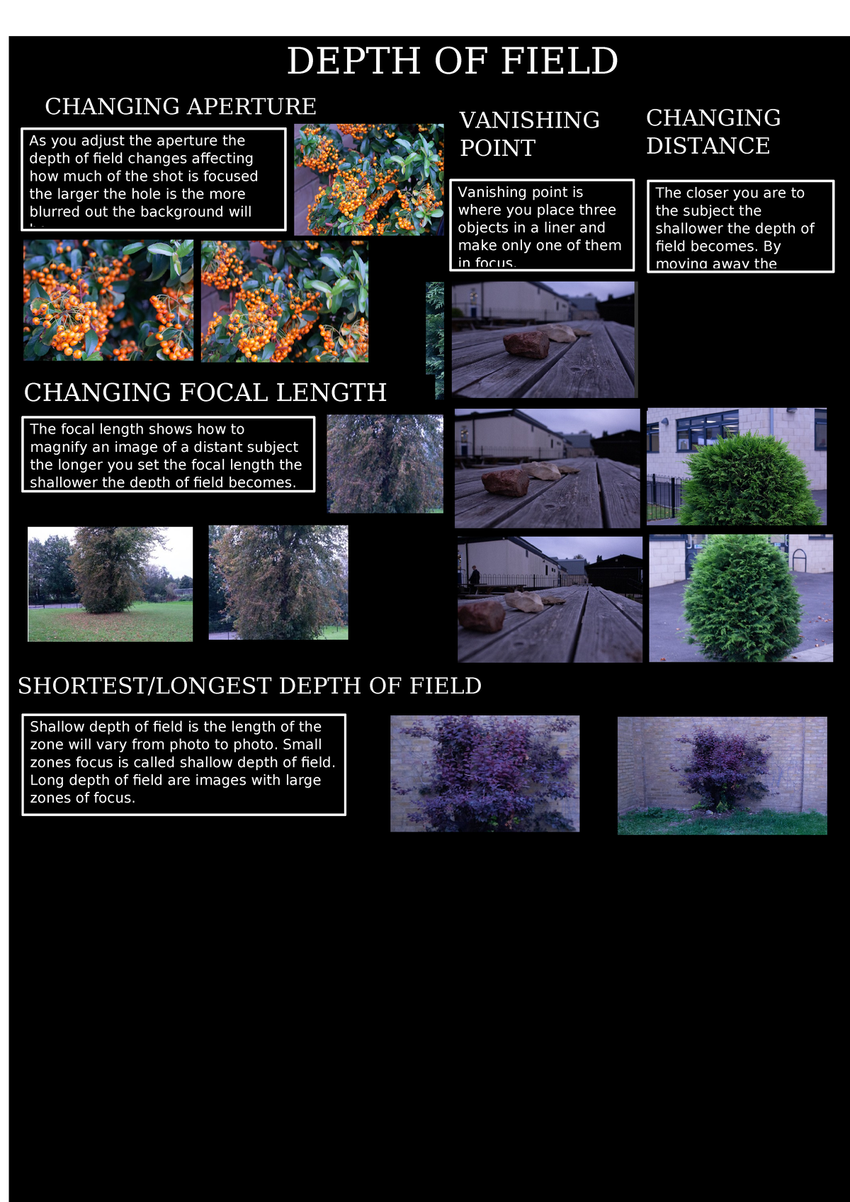 Depth OF Field - photography - DEPTH OF FIELD CHANGING APERTURE As you ...