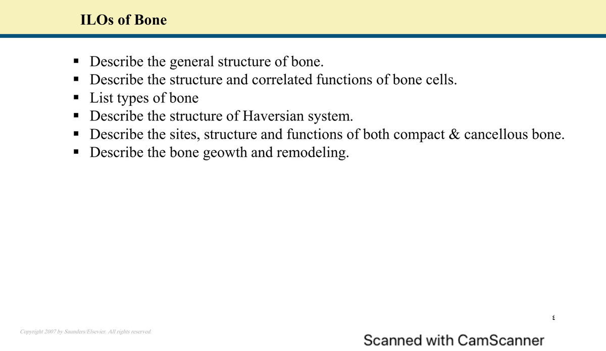 D1-Bone - Histology of bone - Studocu