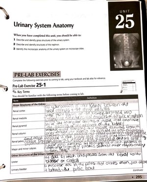 Prelab chapter 26 anatomy 2 - bio102 - Studocu