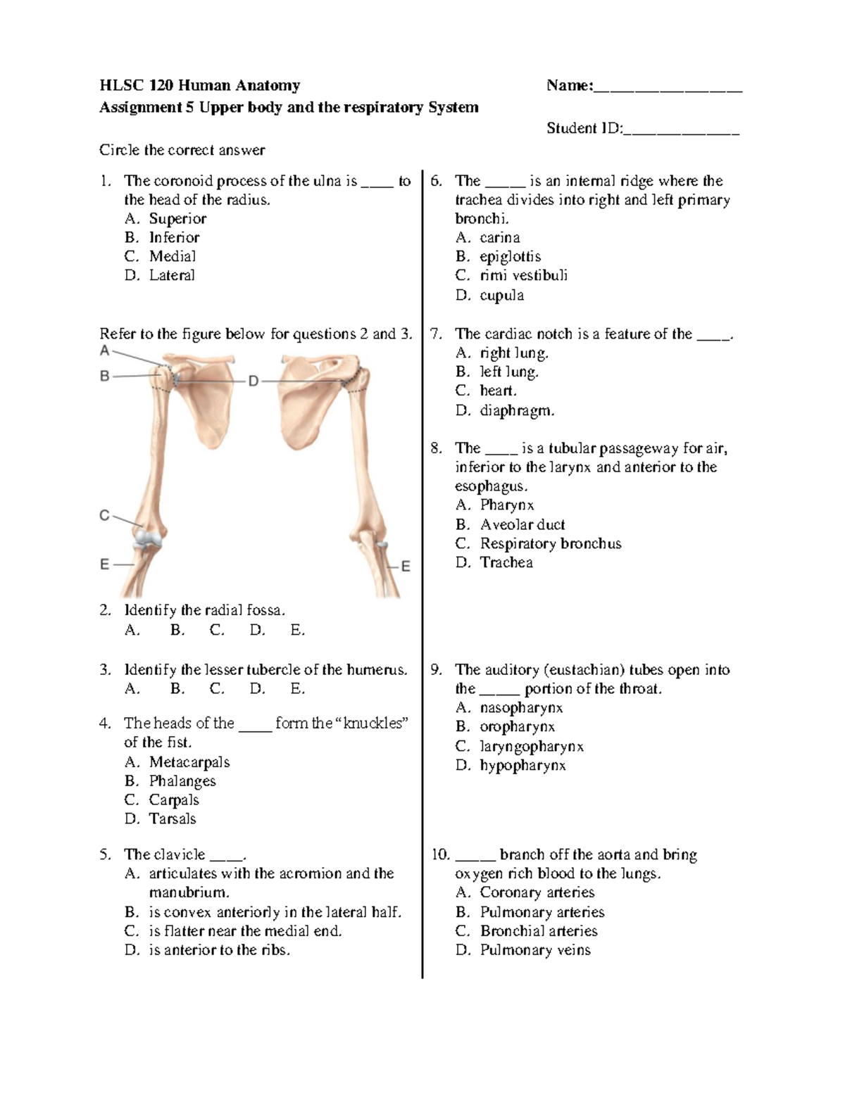Fall Assignment 5 - anatomy - HLSC 120 Human Anatomy Name ...