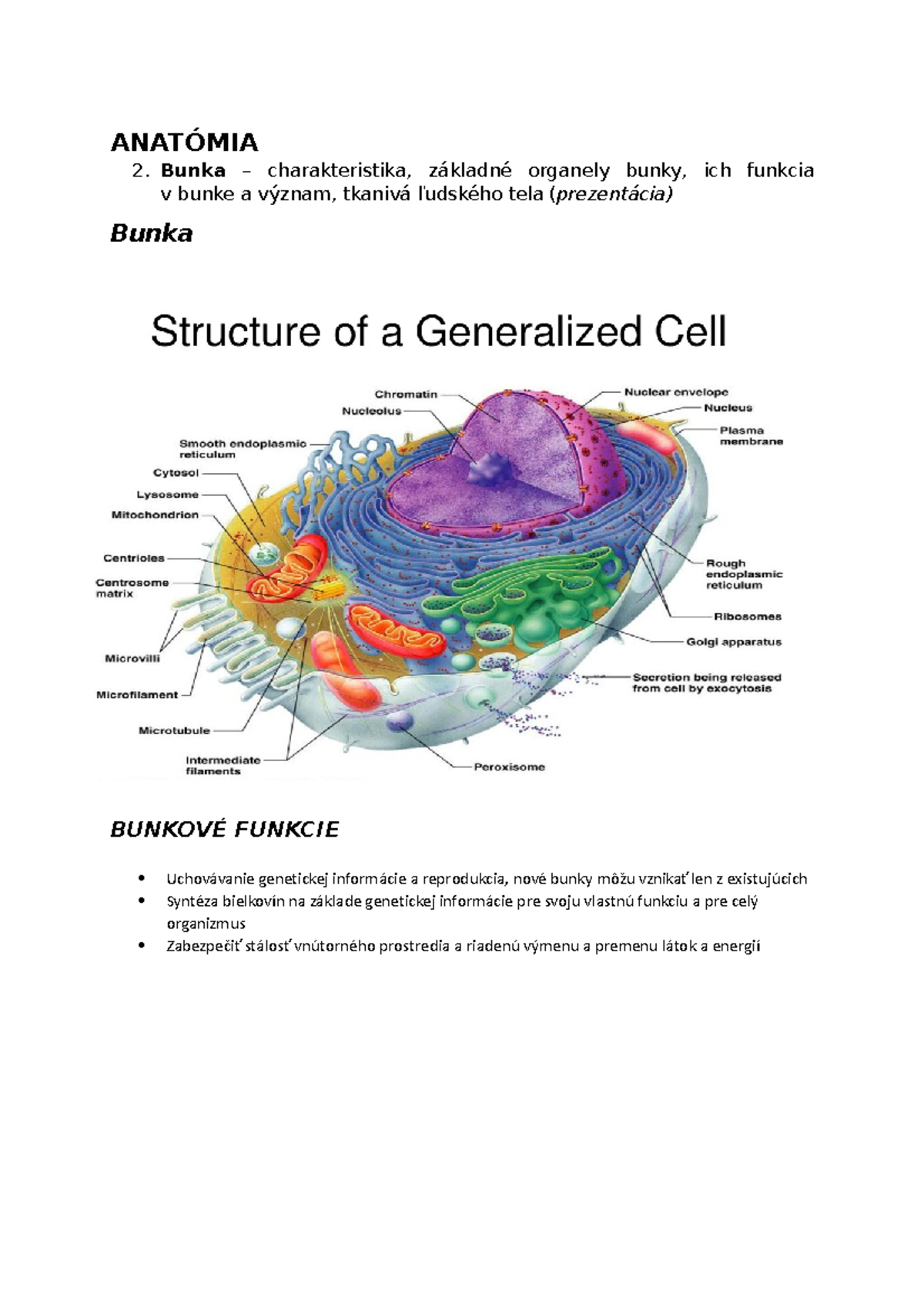 Anatómia - 2. téza - Bunka a tkanivá - ANATÓMIA 2. Bunka ...